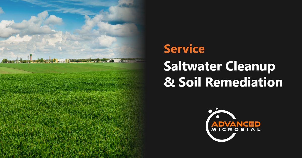Saltwater Cleanup & Soil Remediation Services | AMS